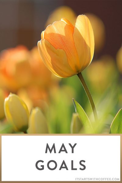 May Goals - It Starts With Coffee - Blog by Neely Moldovan — Lifestyle ...