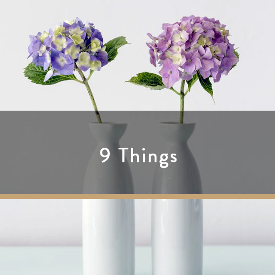 9 Things... - It Starts With Coffee - Blog by Neely Moldovan ...