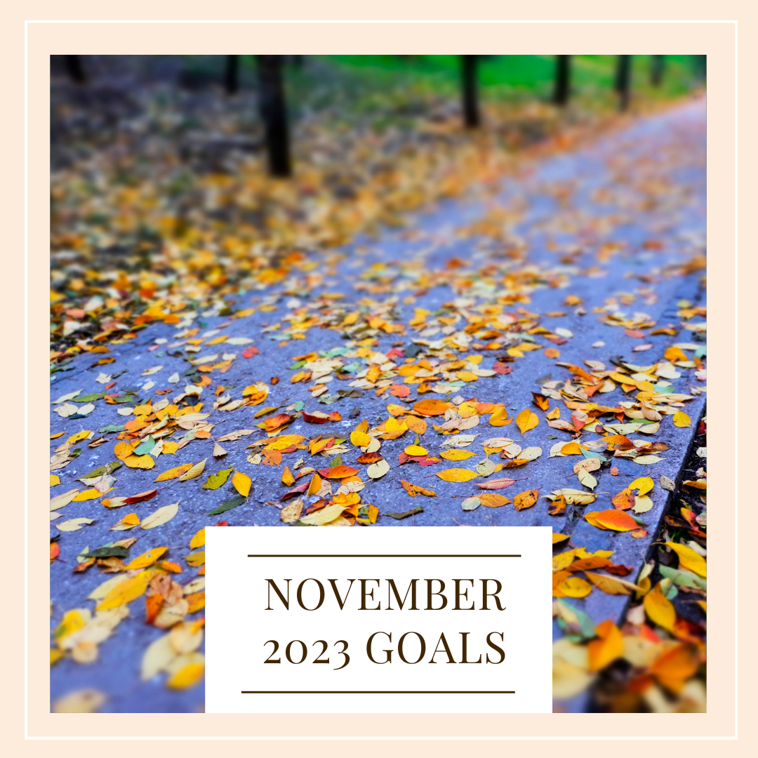 November 2023 Goals - It Starts With Coffee - Blog by Neely Moldovan ...